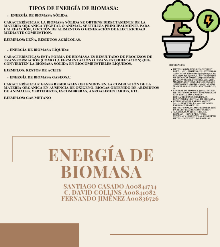 BIOMASA | PDF