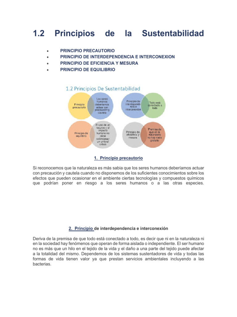 1 2 Pricipios De La Sustentabilidad Pdf
