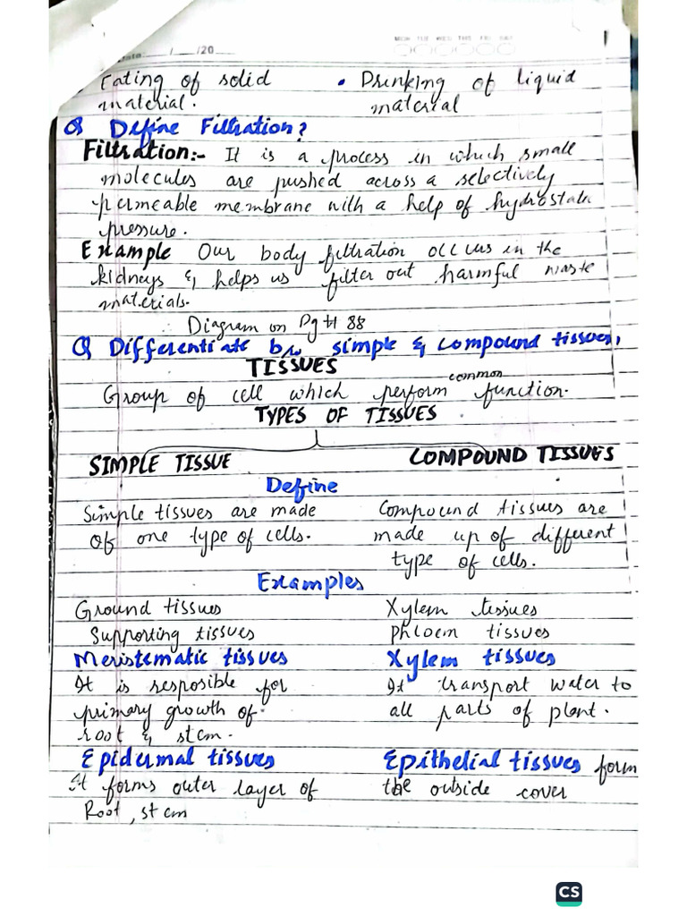 Chapter 4 (Topic Tissues) 9th Iris | PDF