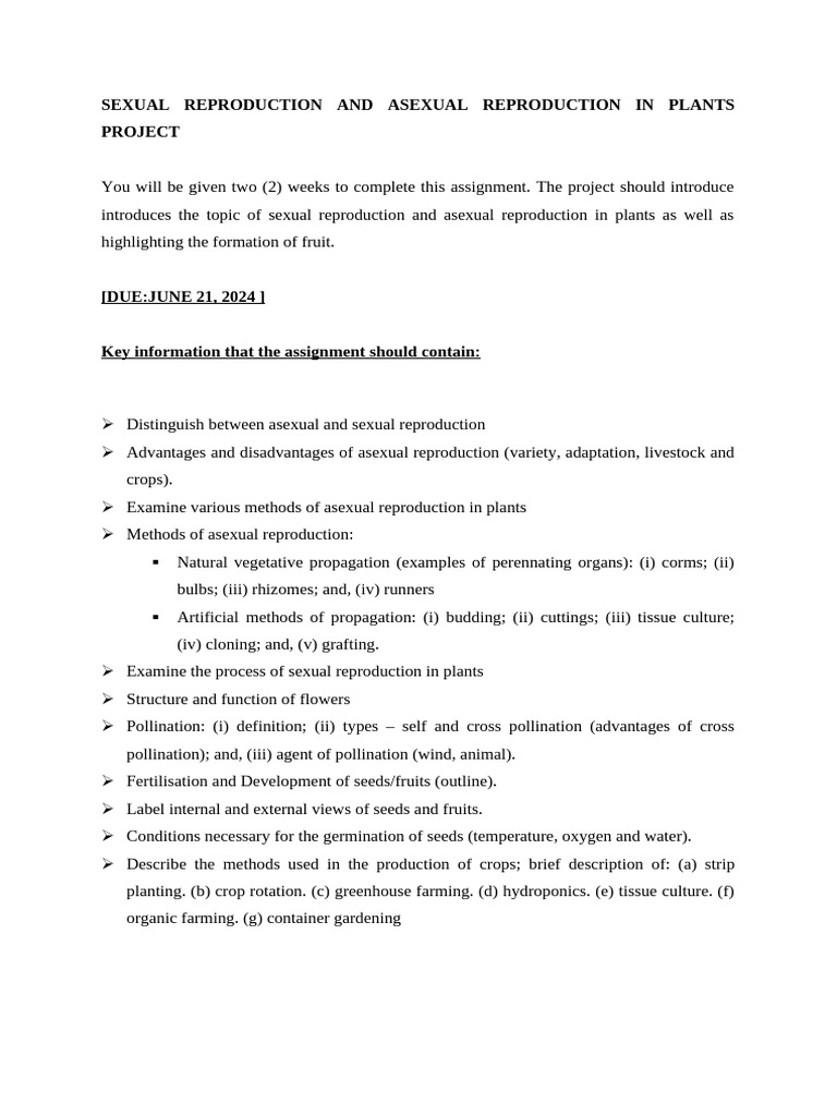 Grade 10 Project | PDF