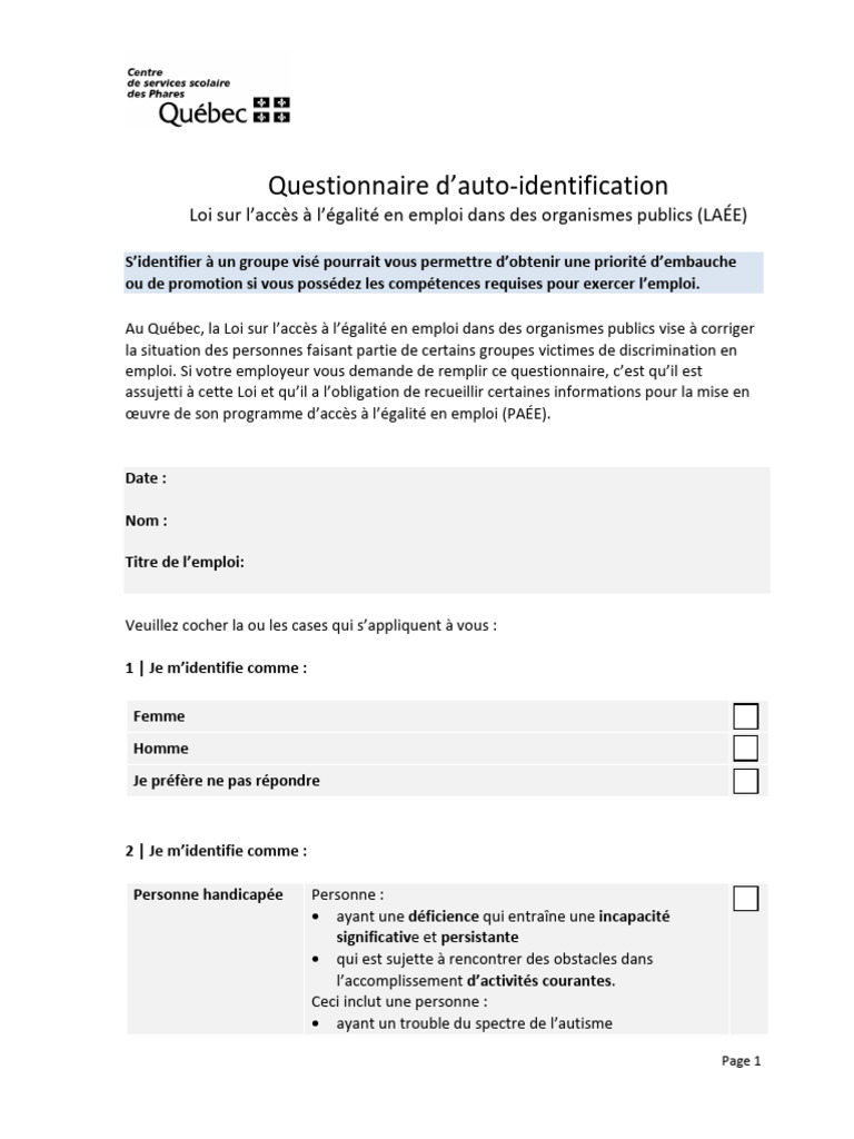 6-Questionnaire Auto-Identifiation LAEE | PDF