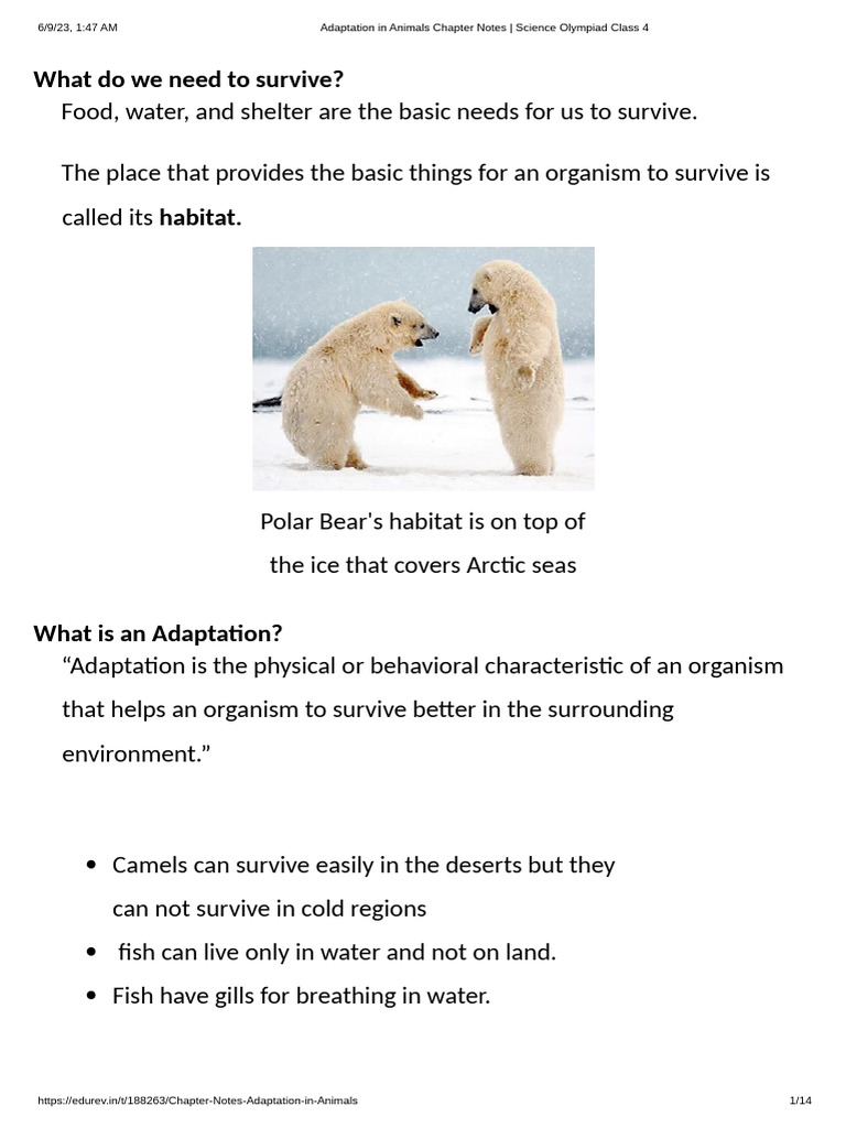 Adaptation in Animals Chapter Notes - Science Olympiad Class 4 | PDF