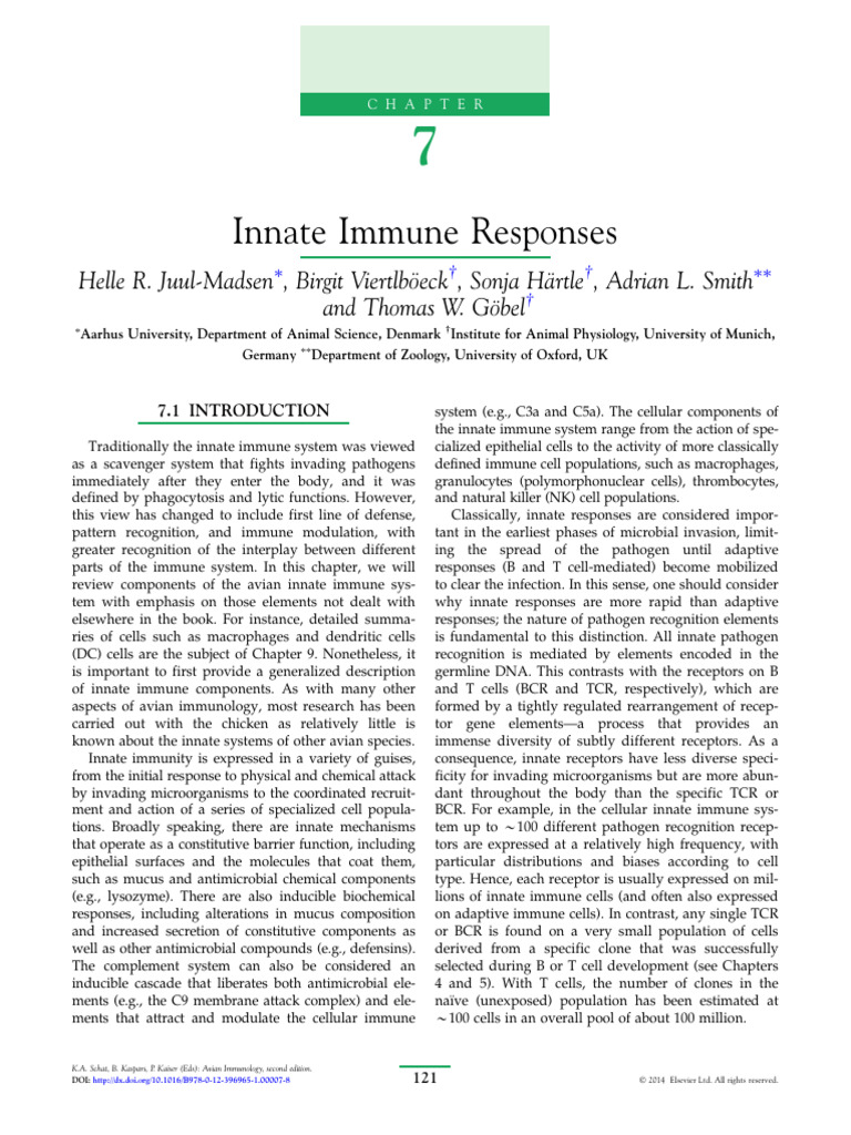 Chapter 7 | PDF