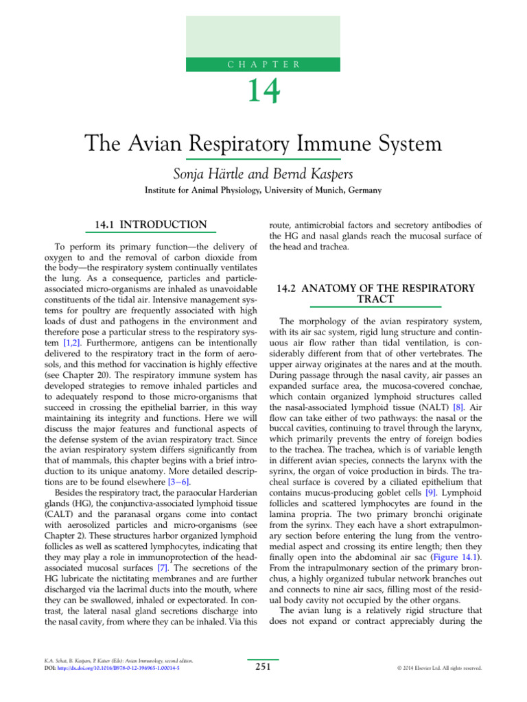 Chapter 14 | PDF