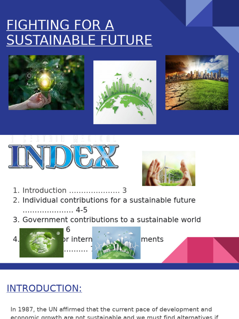 Fighting For A Sustainable Future | PDF