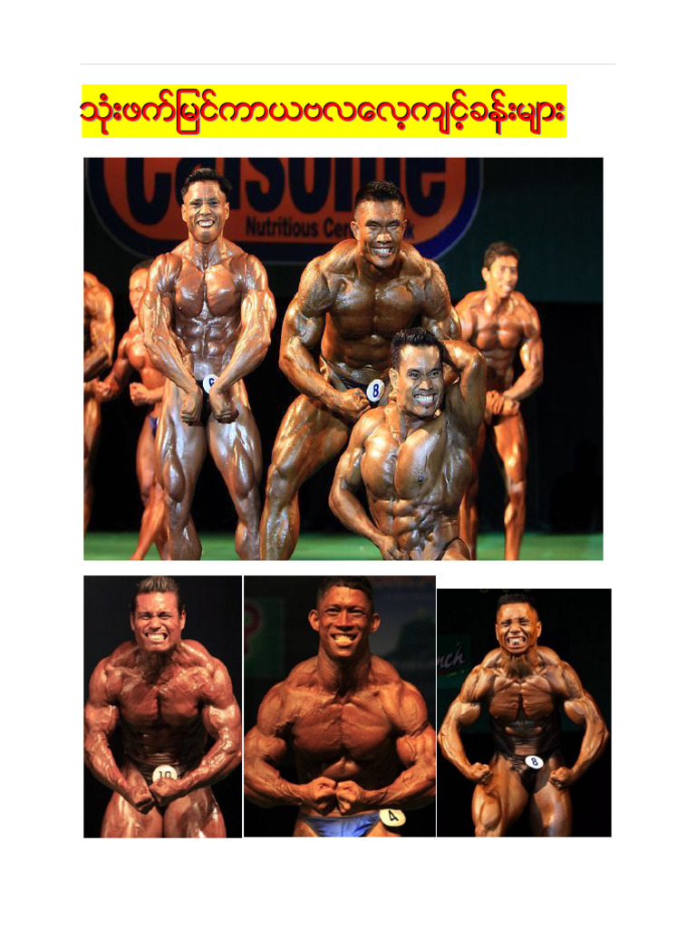 3d Bodybuilding Exercises | PDF