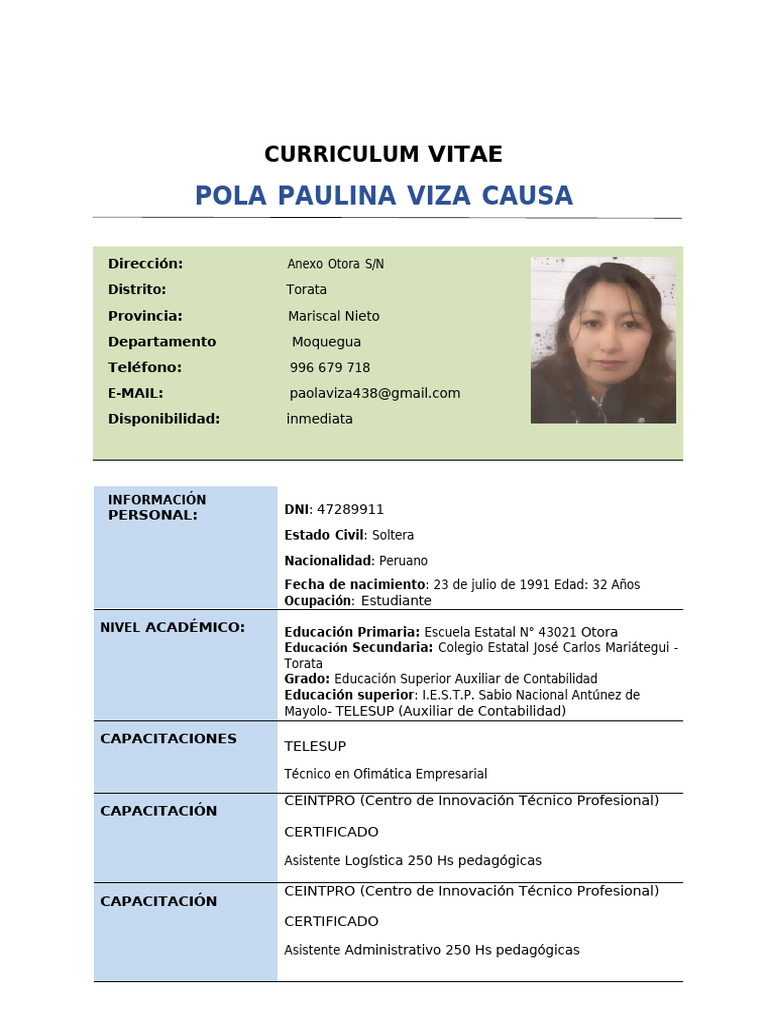 Pola Viza CV P | PDF
