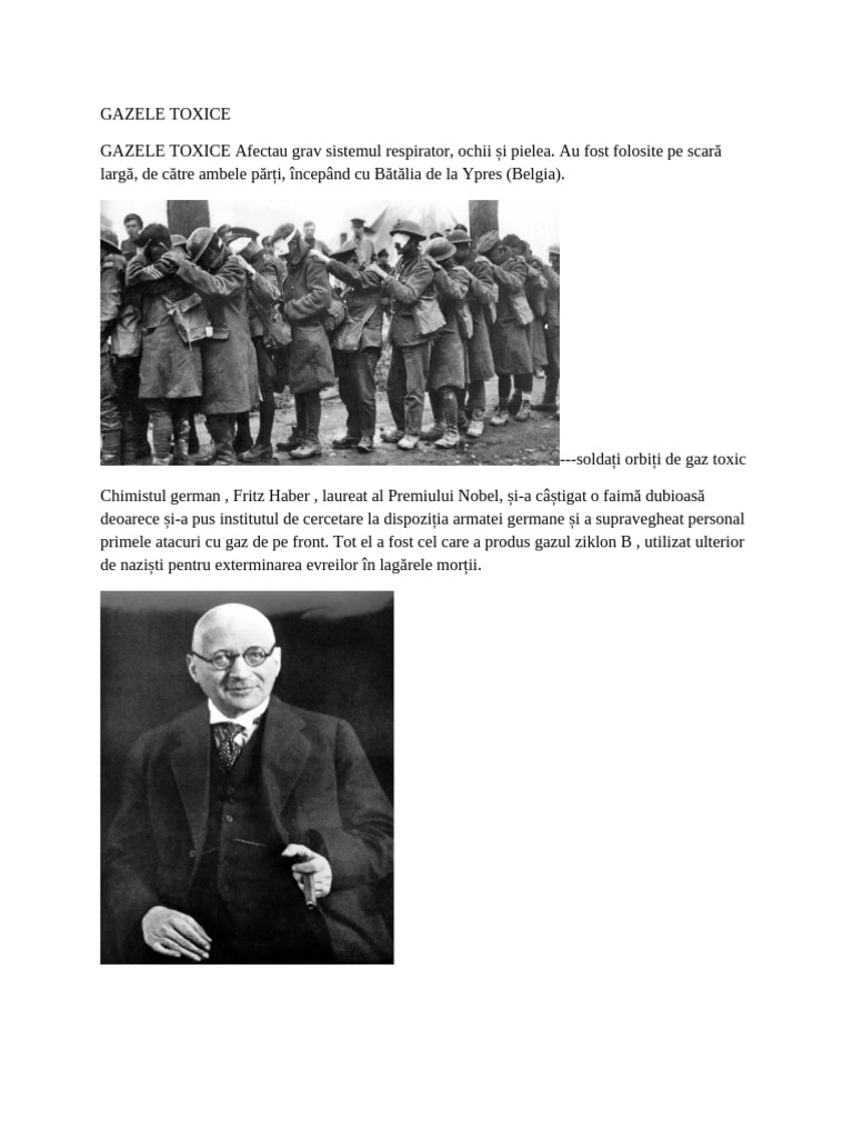 Proiect Istorie | PDF