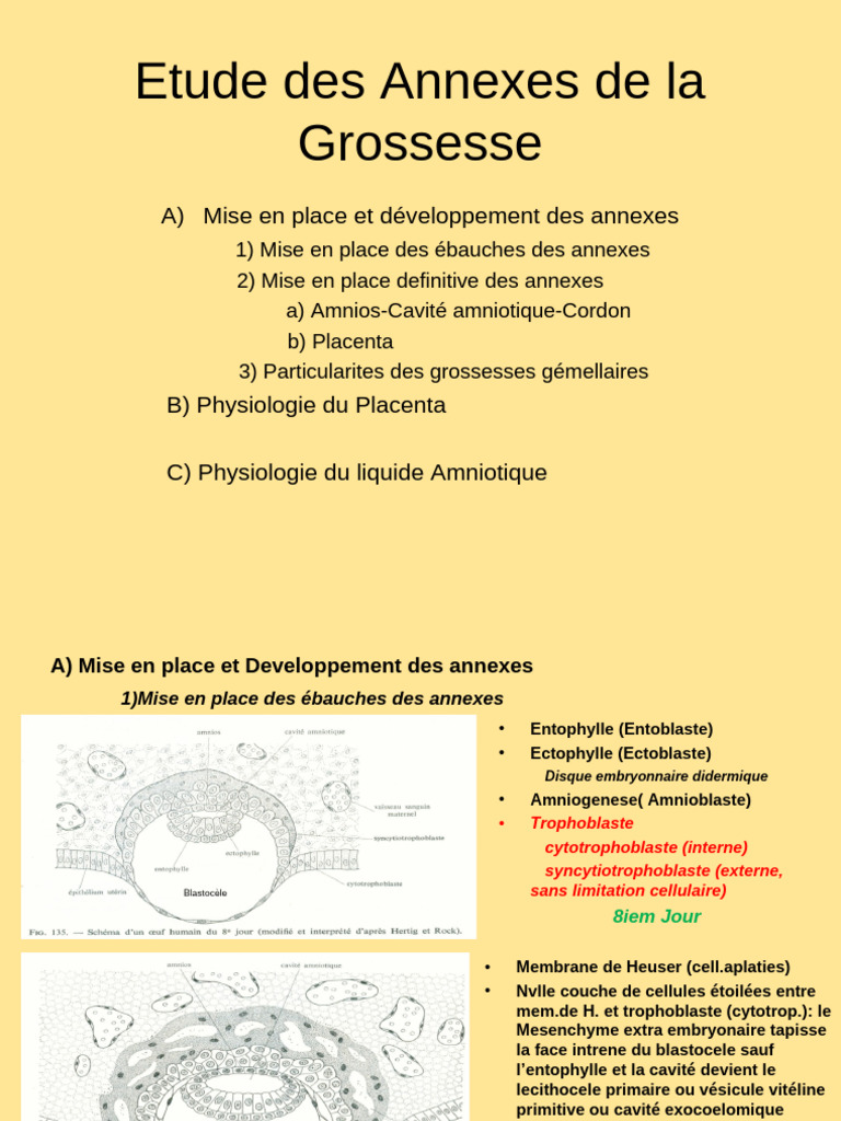Annexes | PDF