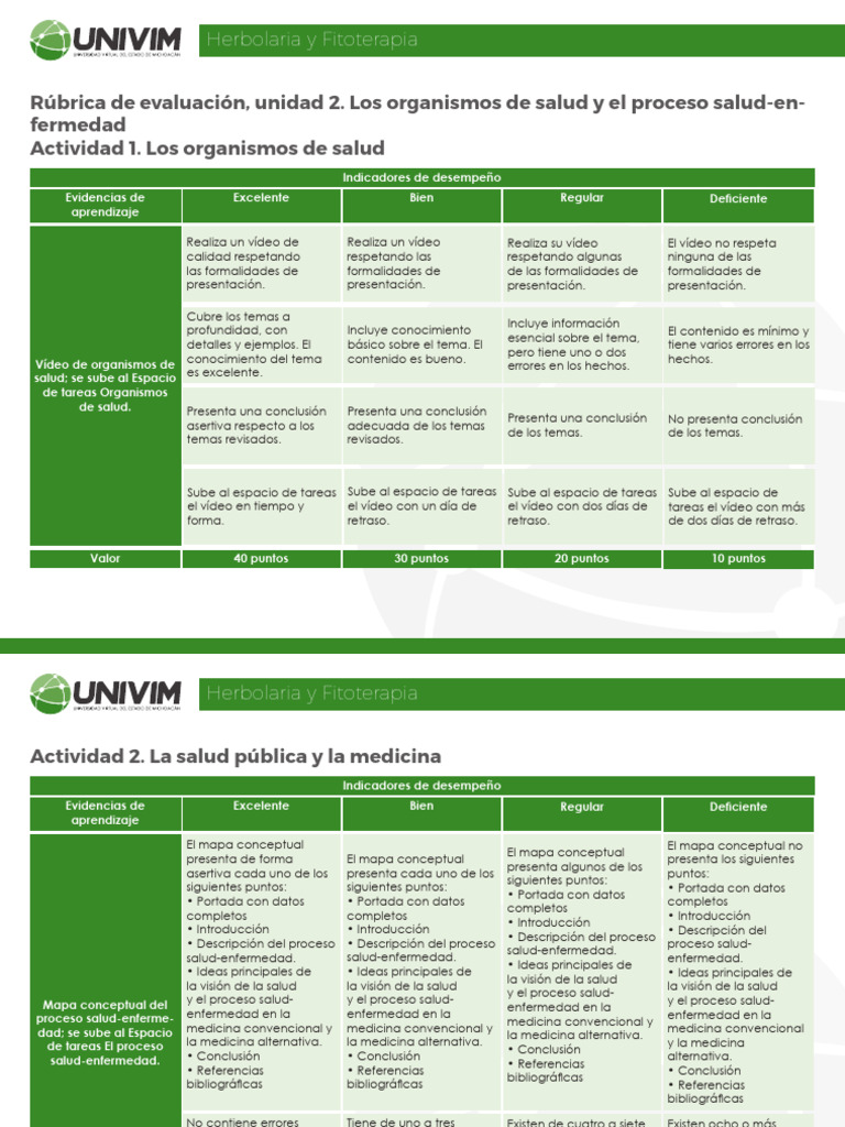 Rubrica de Evaluación - U2 | PDF