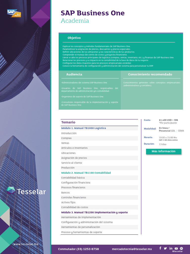 Academia SAP Business One 2023 | PDF