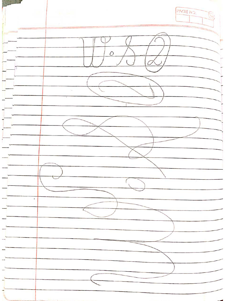 Hindi w.s.2 Notebook | PDF