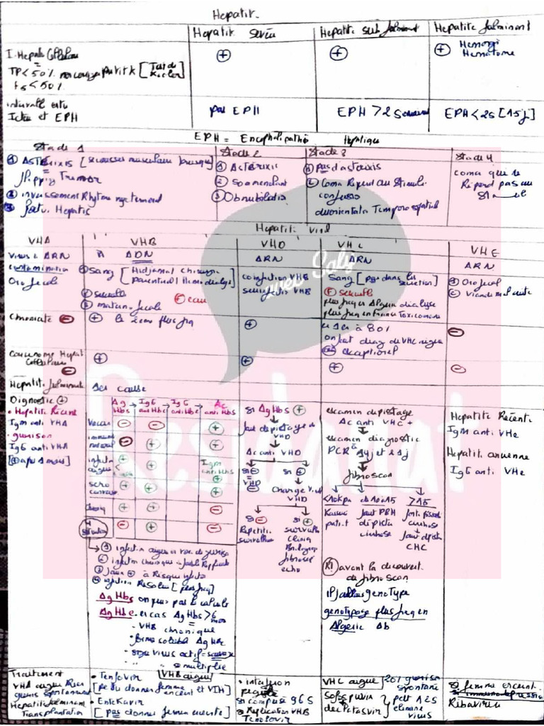 Hepatite Watermark | PDF