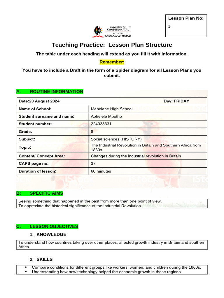 Lesson Plan Template Full Lesson Plan - For Partial Lesson Plan 3 | PDF
