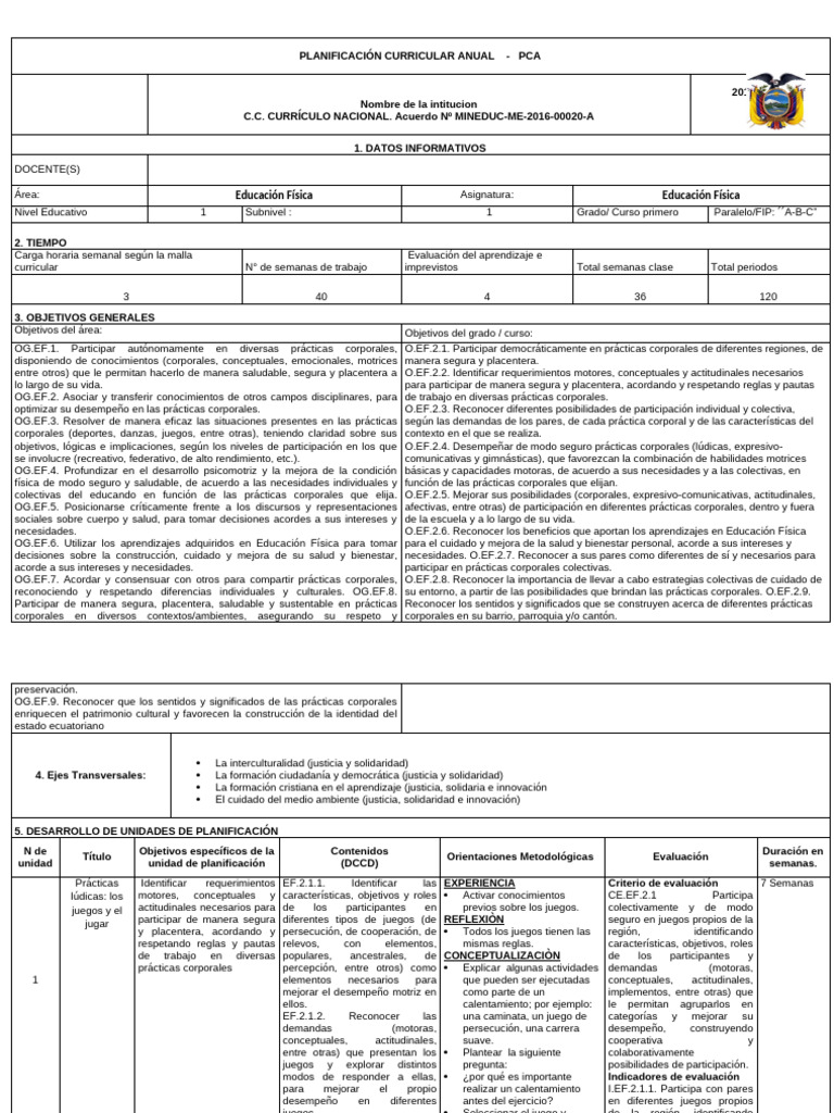 Plan Anual 1er | PDF