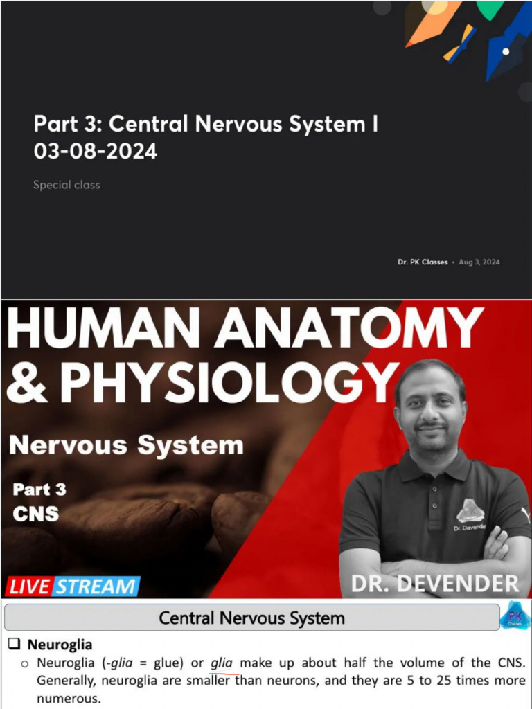 Part 3 Central Nervous System With Anno | PDF