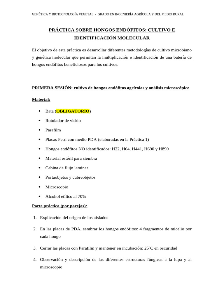 Práctica 4 - Cultivo de Hongos Endófitos, Extracción de Adn, PCR y Análisis de Secuencias | PDF