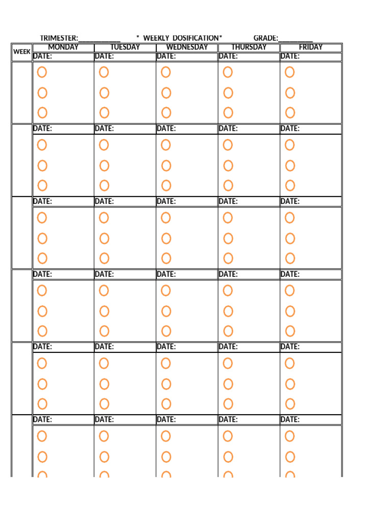 Dosification Format | PDF