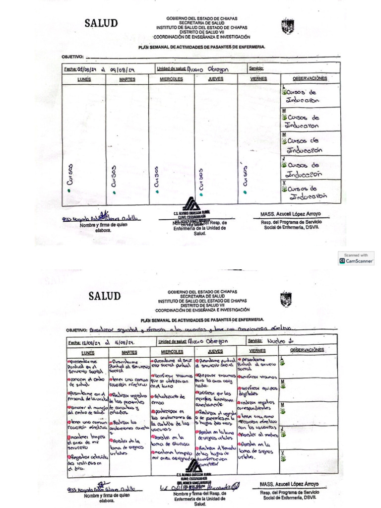 PESS, Marycela Castillo | PDF