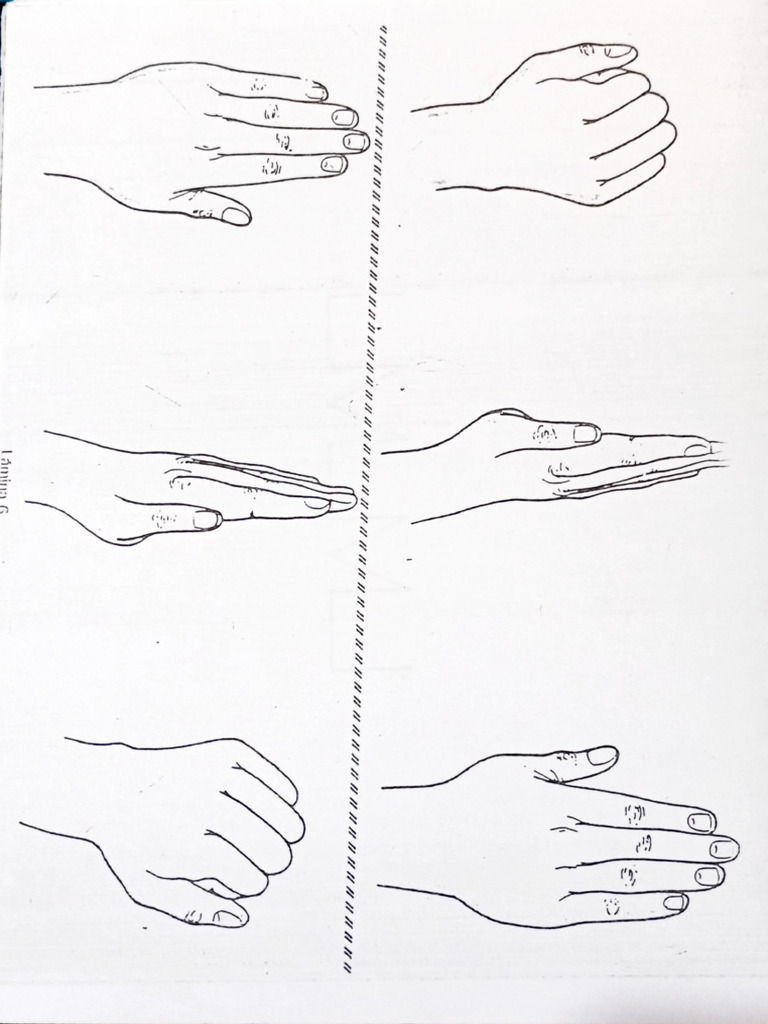 Neuropsi Lami 7 | PDF