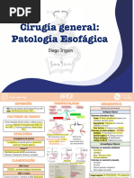 Clasificacion de Los Angeles de Esofagitis PDF | PDF ...