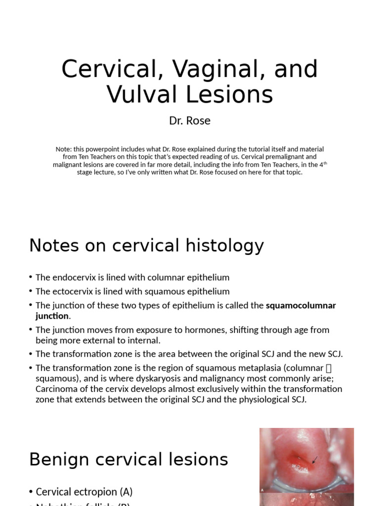Cervical, Vaginal, and Vulval Lesions | PDF