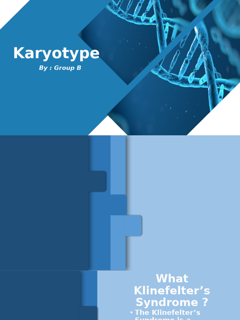 Karyotype | PDF