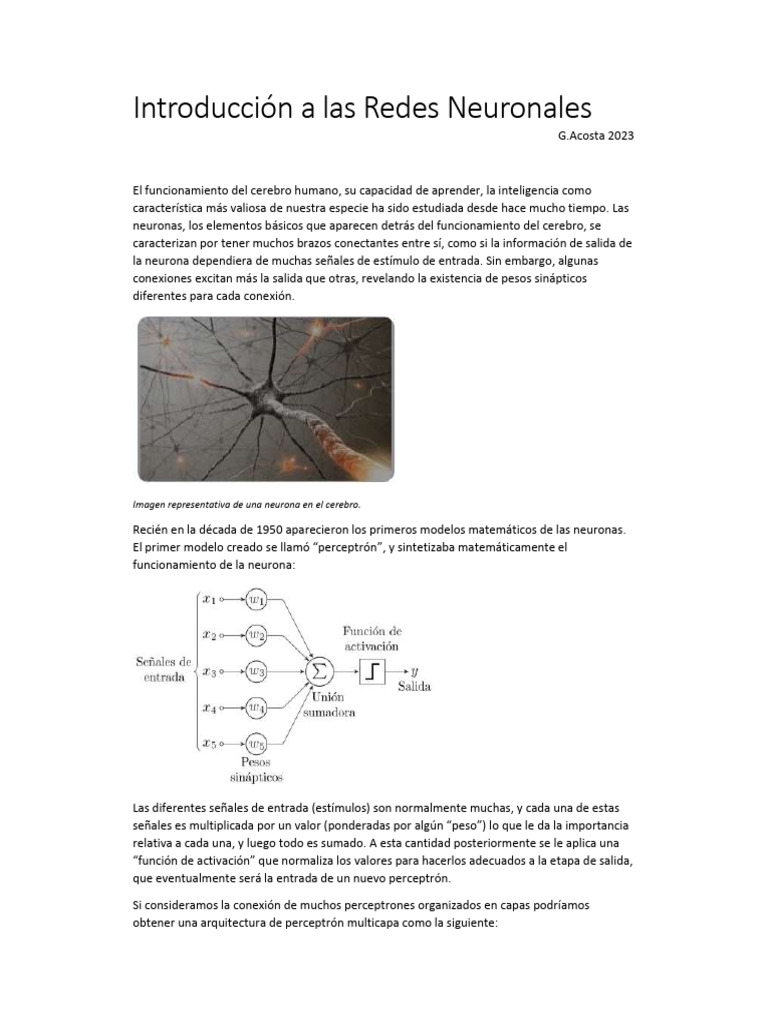 Introducción A Las Redes Neuronales | PDF