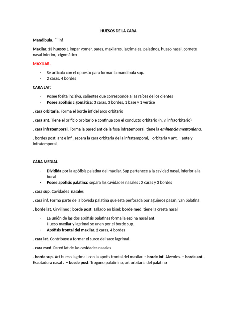Huesos De La Cara Pdf