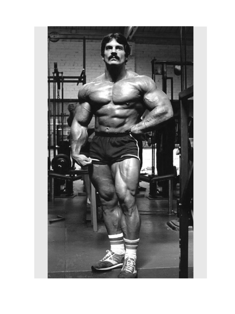 Paradigme du Heavy Duty de Mike Mentzer | PDF