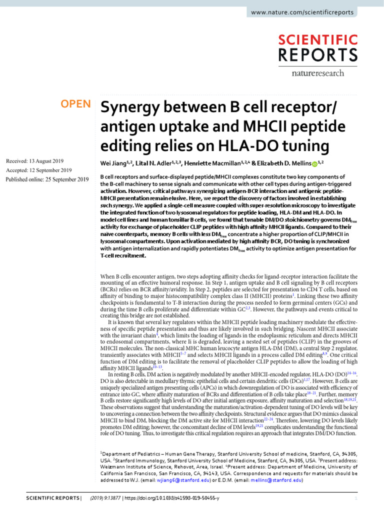 2019 MHCII Mecanismo en B CELL | PDF