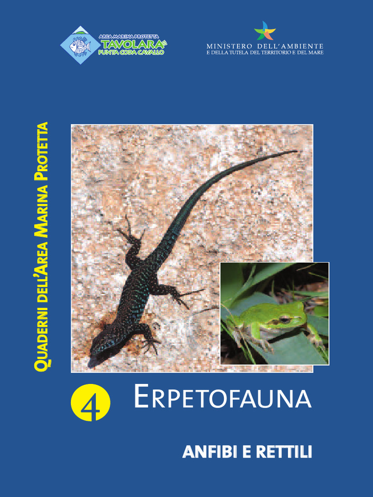Quaderno Erpetofauna | PDF