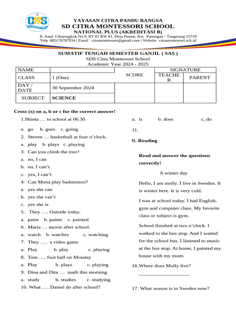 STS English Grade 3 | PDF