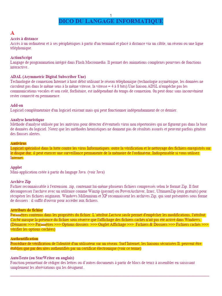 Dictionnaire Termes Informatique | PDF