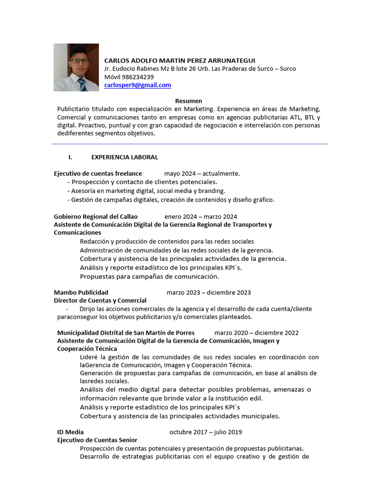 CV Carlos Adolfo Perez Arrunátegui 2024 | PDF