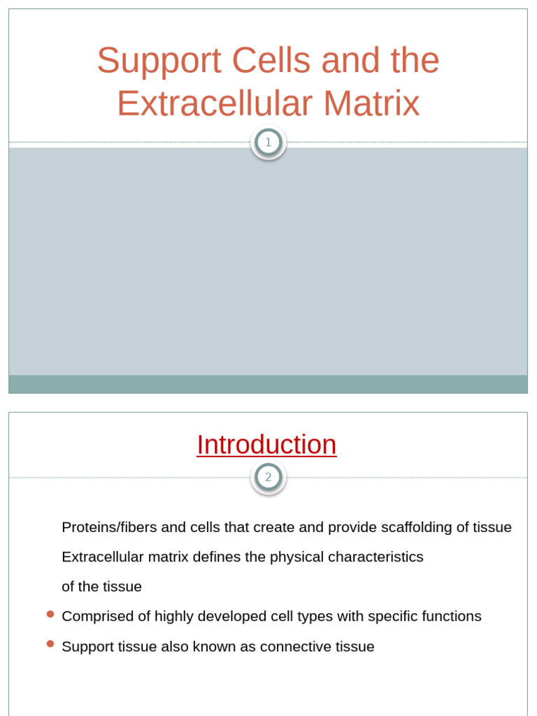 W002 T1 L2 Support Cells MJB | PDF