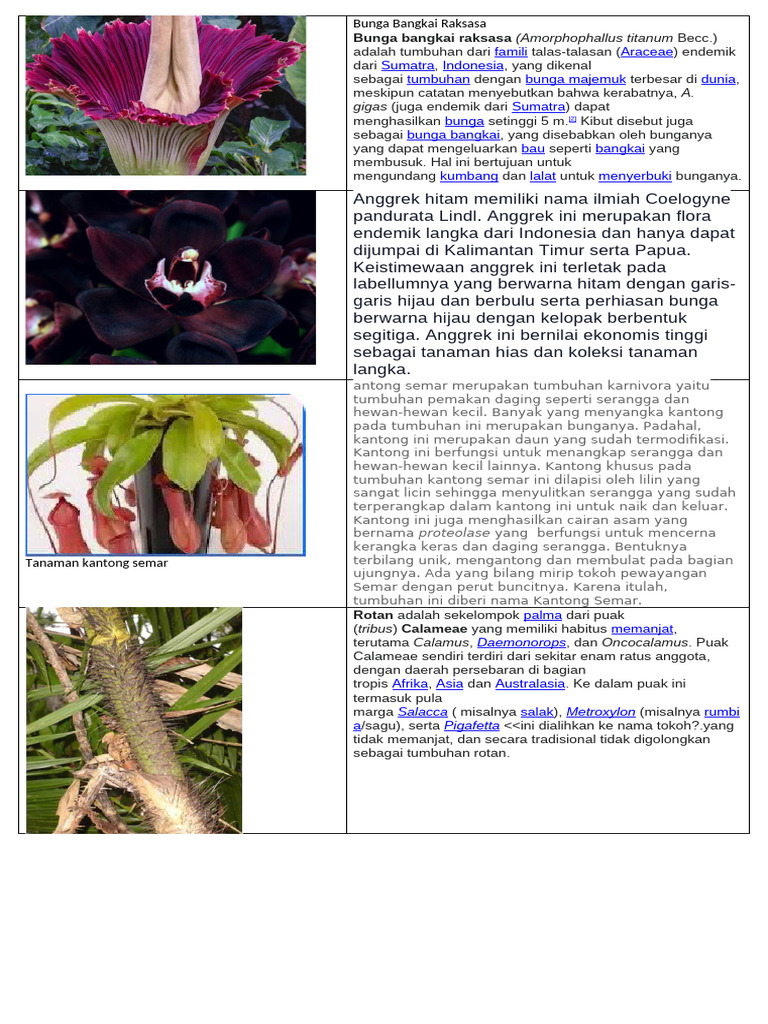 Bunga Bangkai Raksasa | PDF