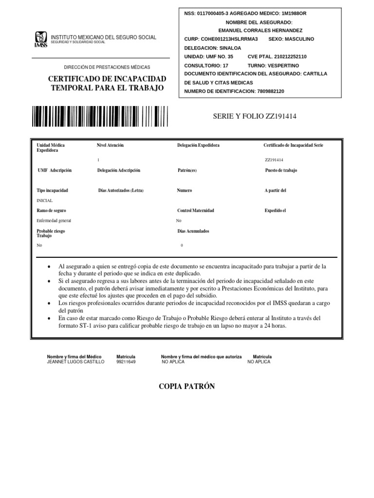 Formato Incapacidad Imss Editable Word 2 | PDF