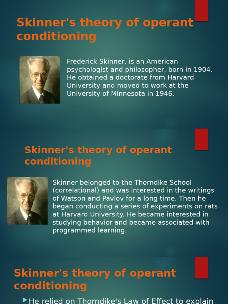 Skinner Theory | PDF