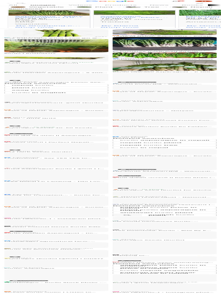 Kurilo - Google Search | PDF