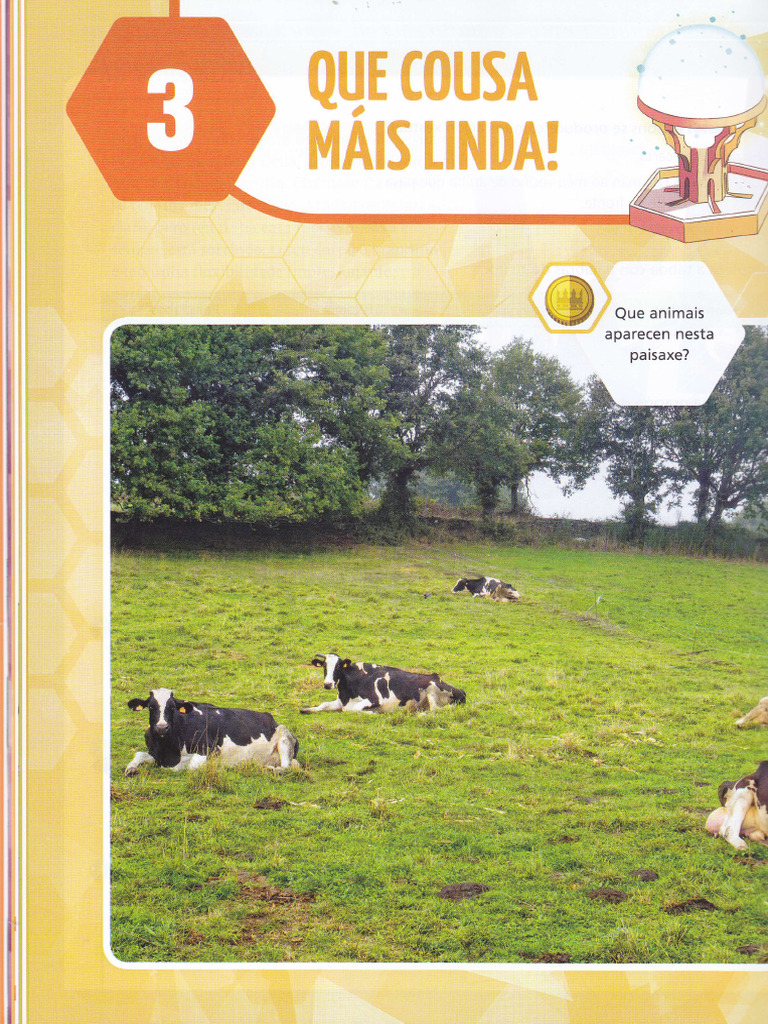 3ep Gal Edelvives 1trim t3. | PDF