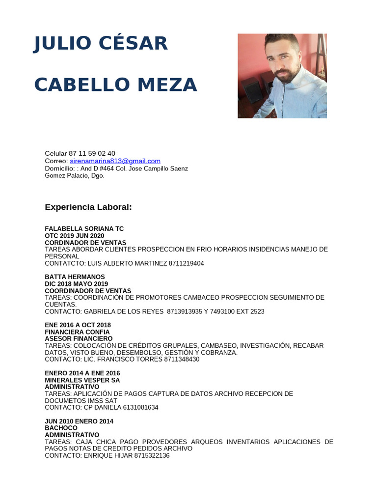 CV Julio Cesar Cabello Meza Nvo | PDF