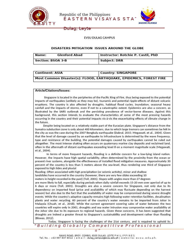 Abad REACTION FORMAT DRR 2024 | PDF