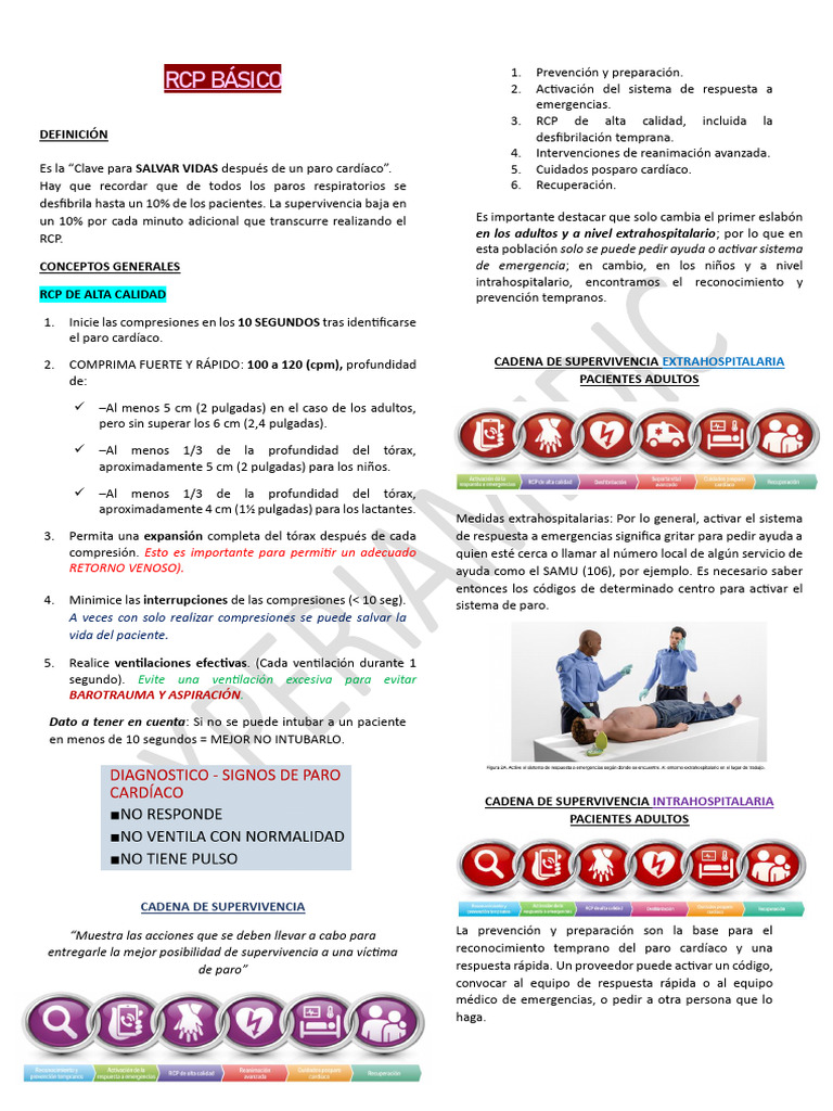 RCP Básico | PDF