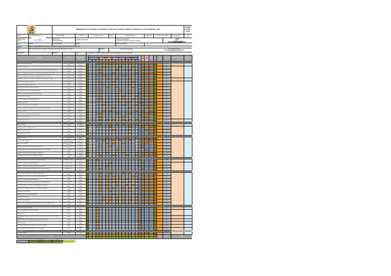 Programa de SSST Goyeneche - Baiza | PDF