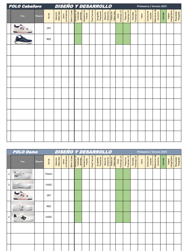 Planeacion Sapica PV2025 - Diseño | PDF