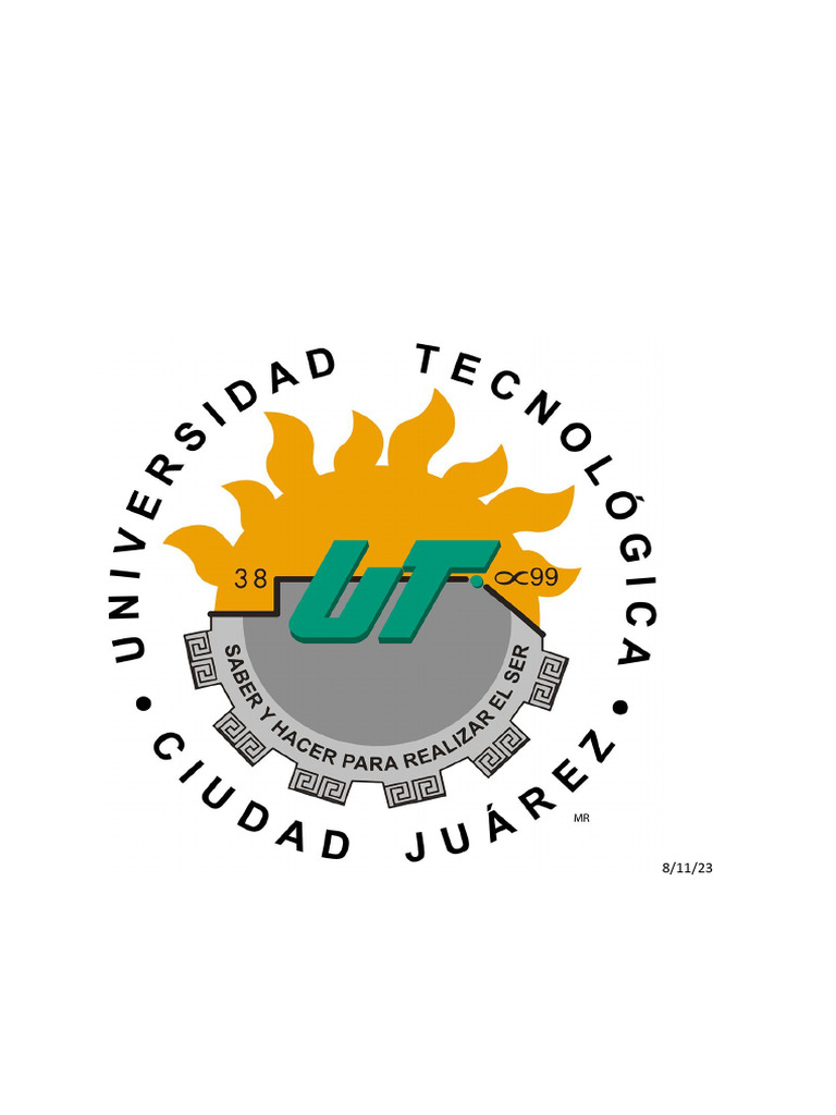 U2 Act - Polimeros | PDF