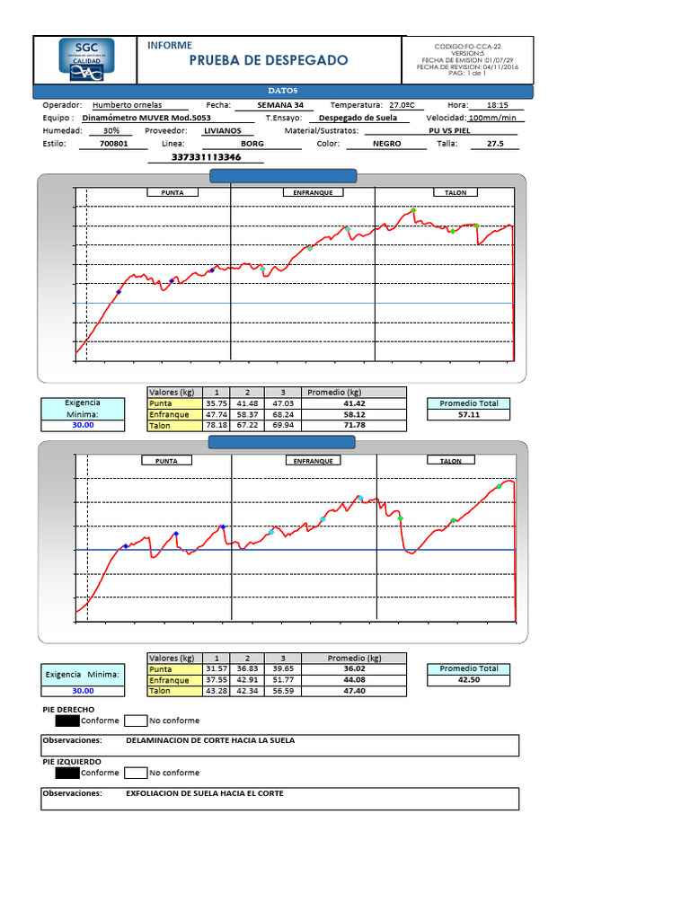 Semana 34 Borg | PDF