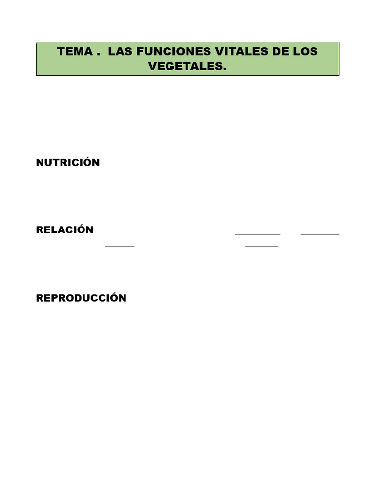 Funciones Vitales de Las Plantas | PDF