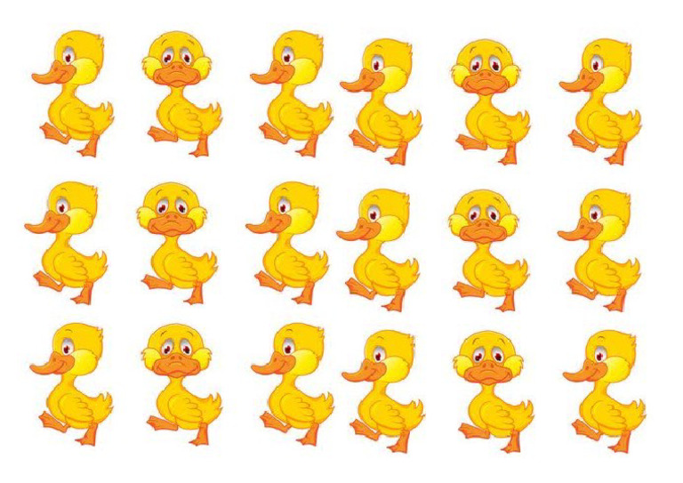 DUCKS | PDF